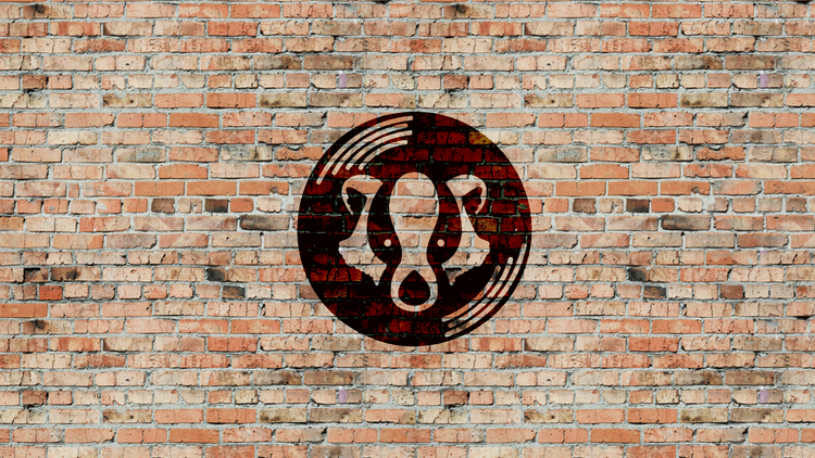Badgers Den Records